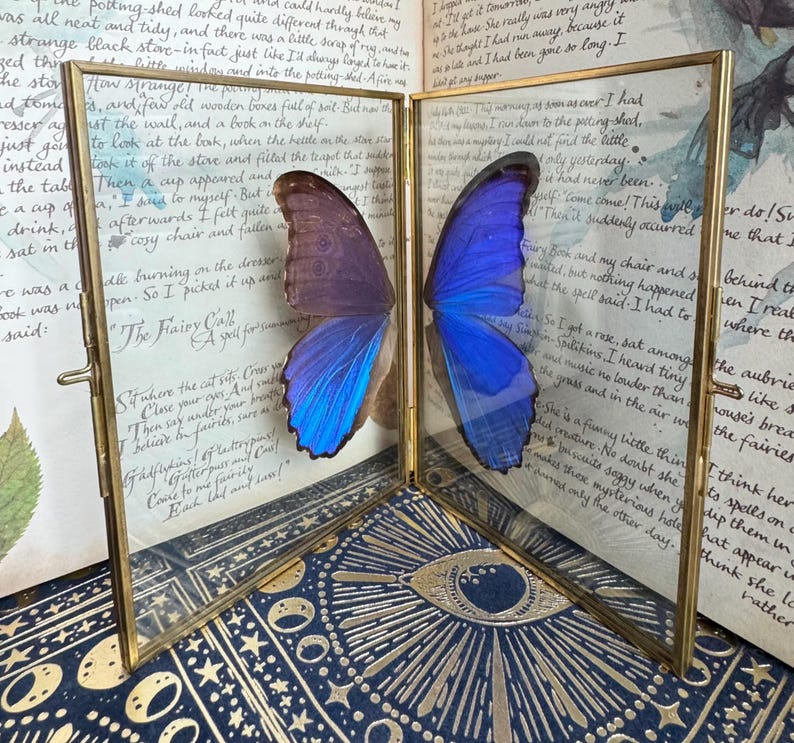 Butterfly Card Frame - Blue Morpho (gold Frame) - Etsy