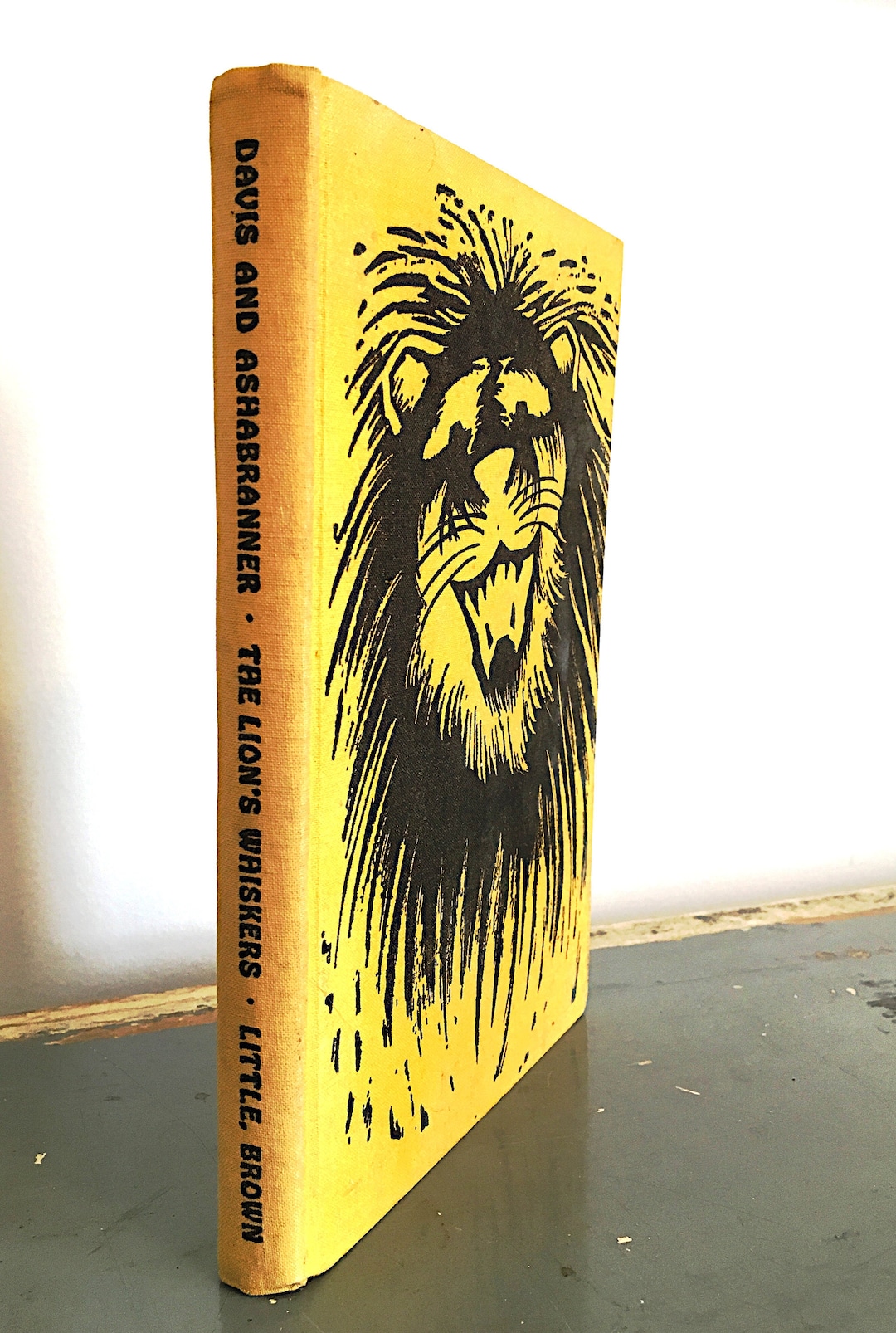 The Lion's Whiskers by Russell Davis and Brent Ashabranner | First ...
