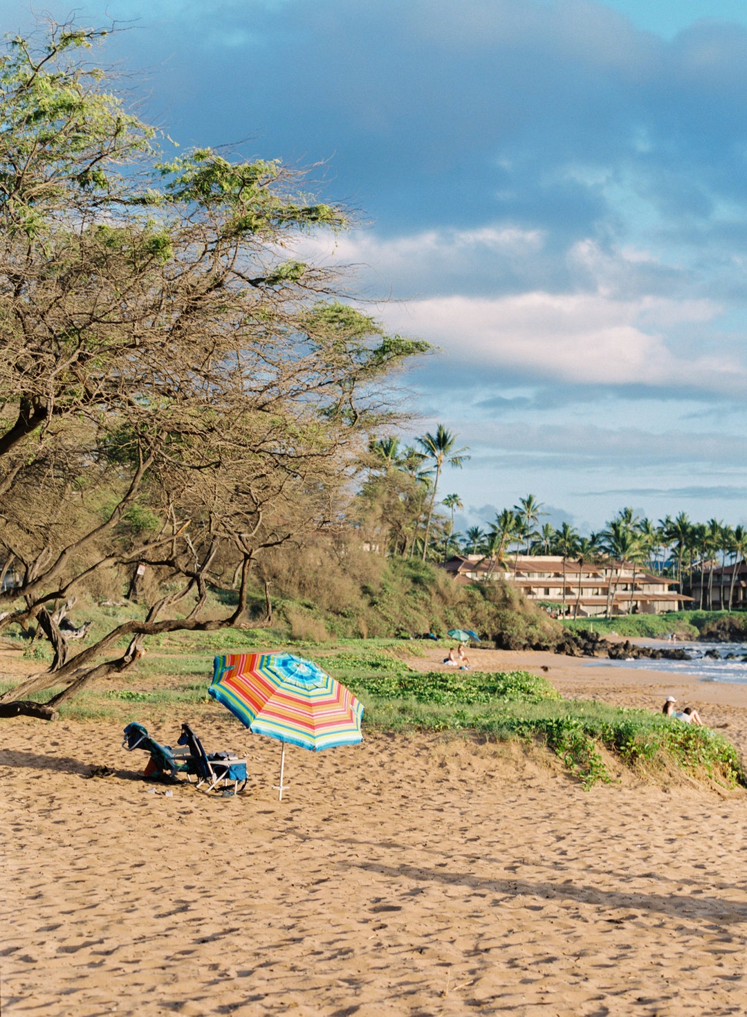 Striped Umbrella on Maui Beach | Maui Beach Scene Print | Hawaiian ...