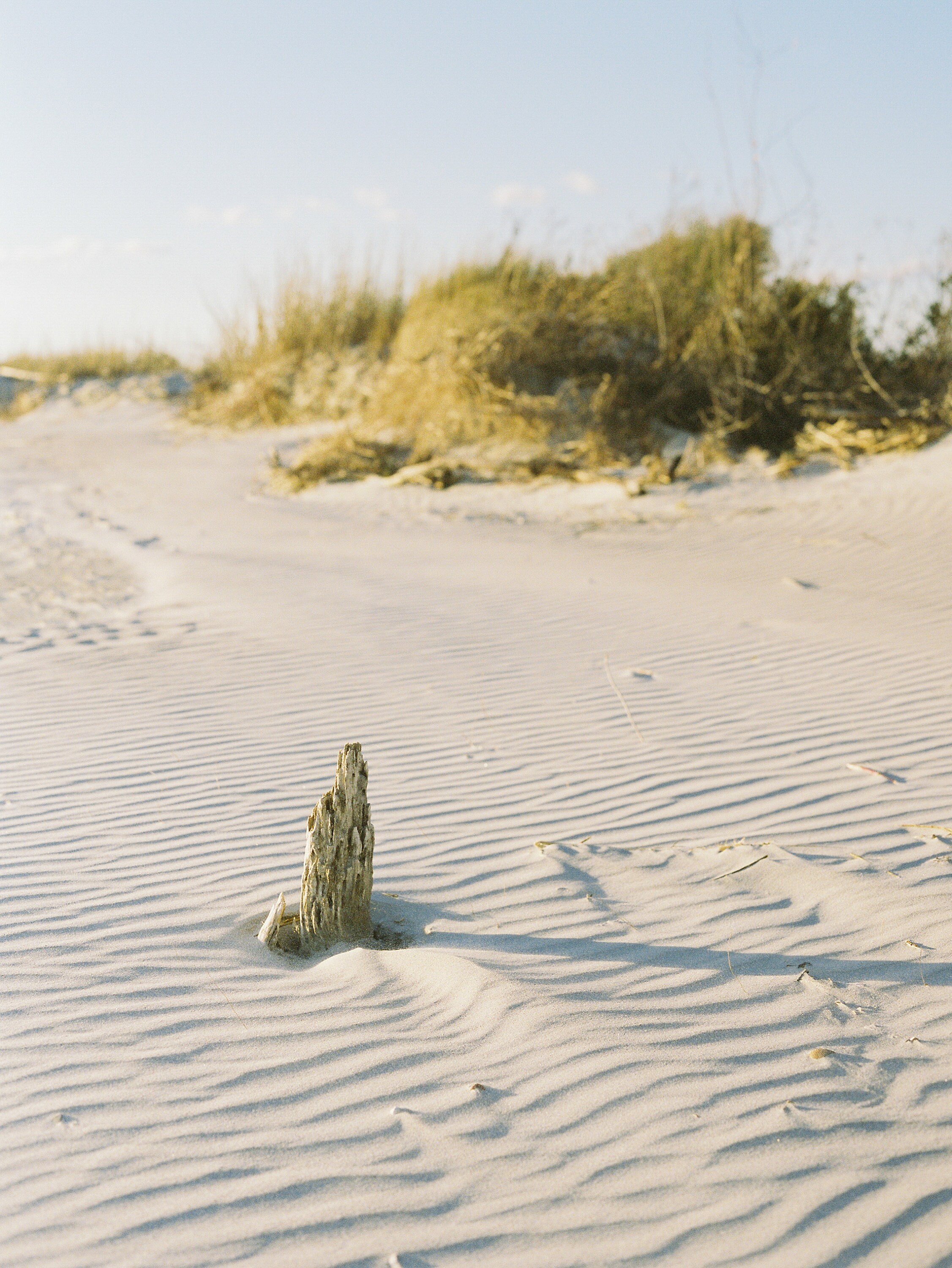 Folly Beach Scenery | Folly Beach Wall Art | Folly Beach Travel Print ...