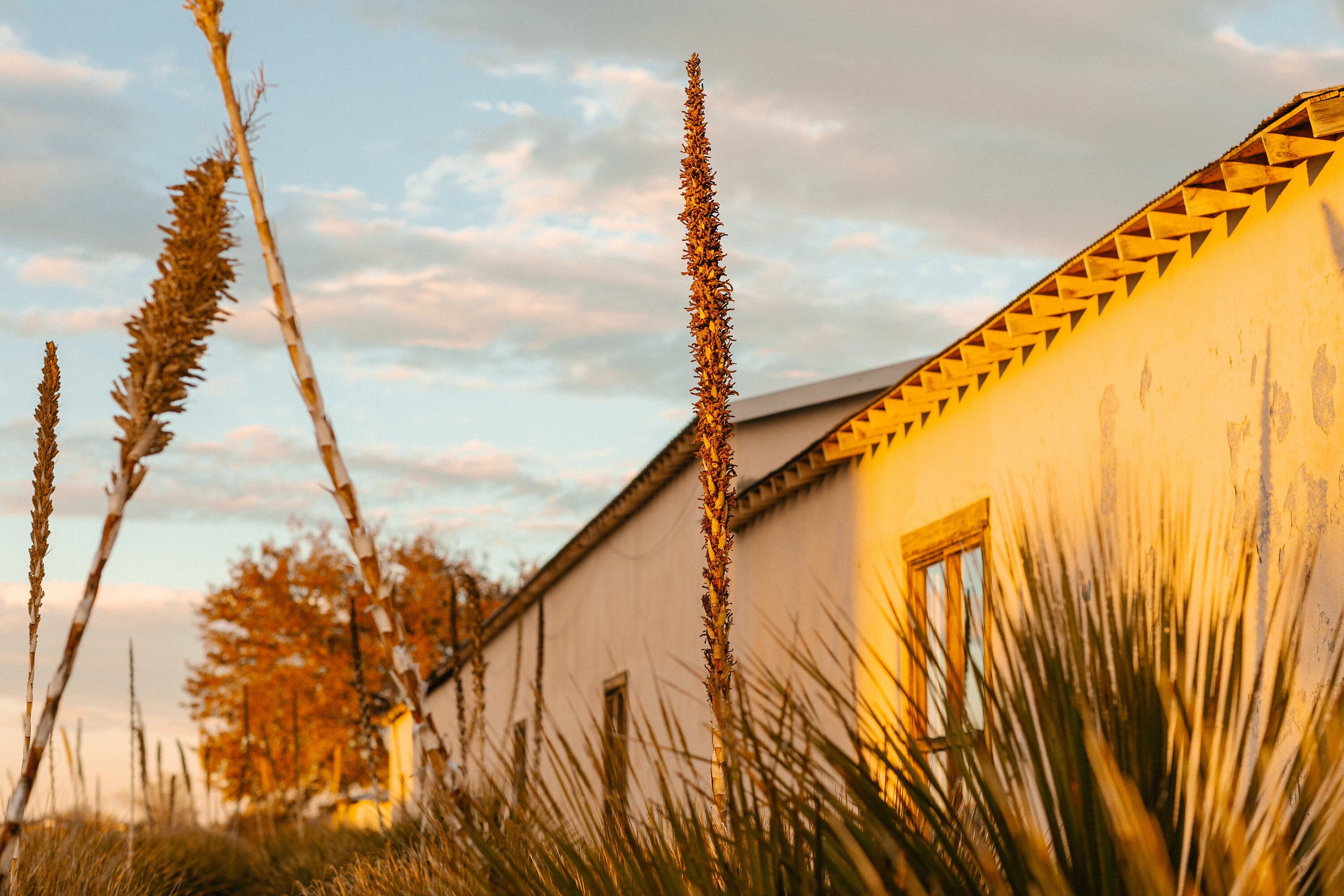 Marfa Landscape + Architecture at Sunrise | Sunrise in Marfa, TX ...