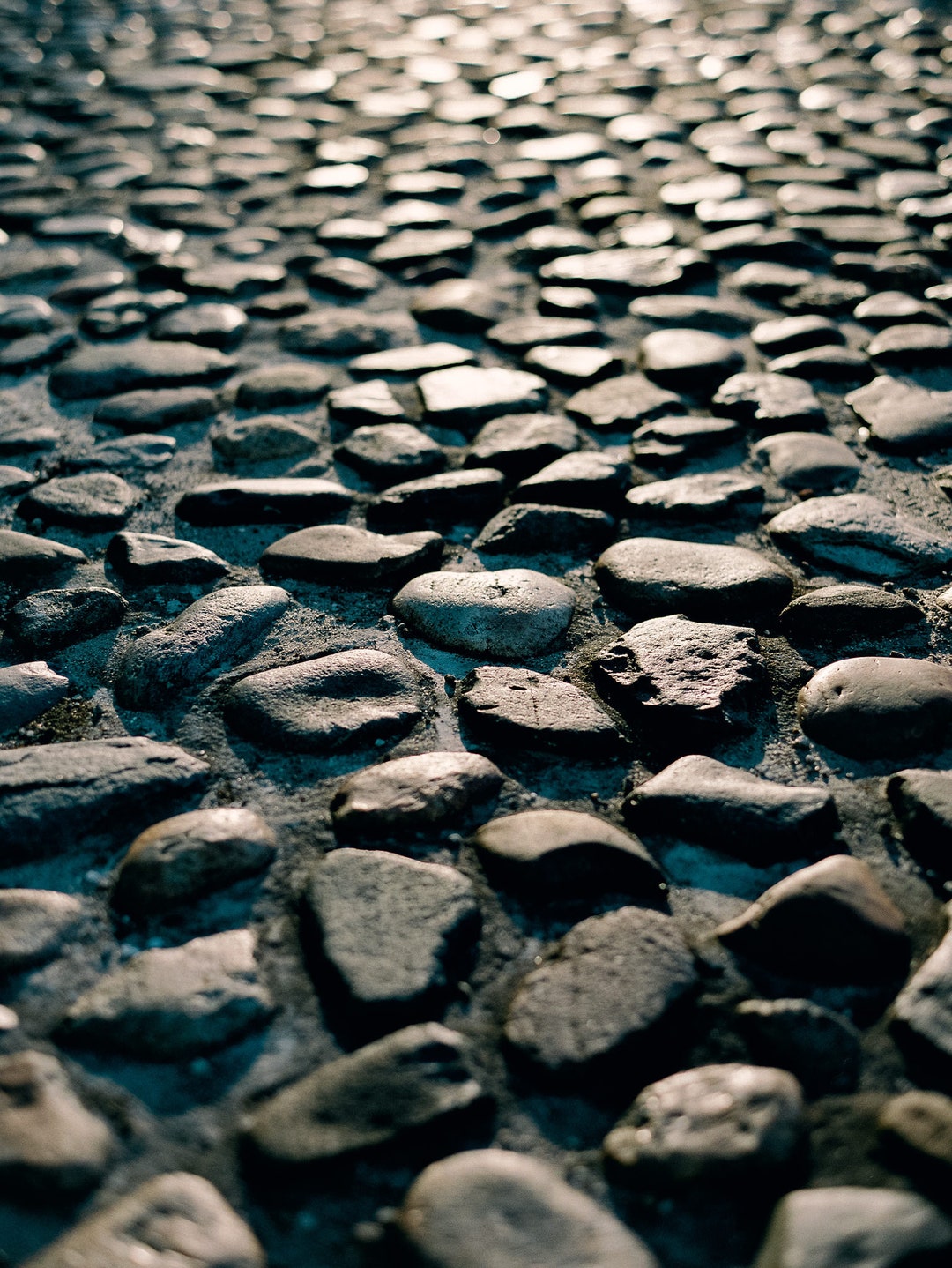 Close up of Cobblestone Street in Charleston | Cobblestone Street ...