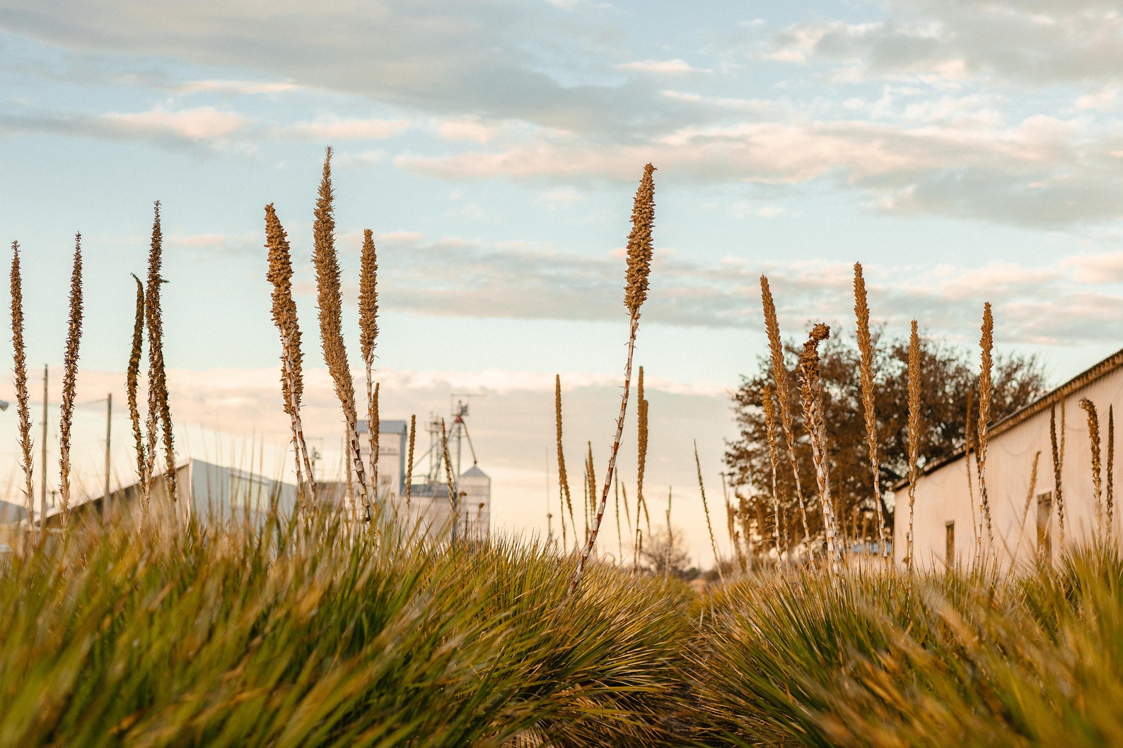 Marfa Landscape at Sunrise | Sunrise in Marfa, Texas | Sunrise Sky in ...