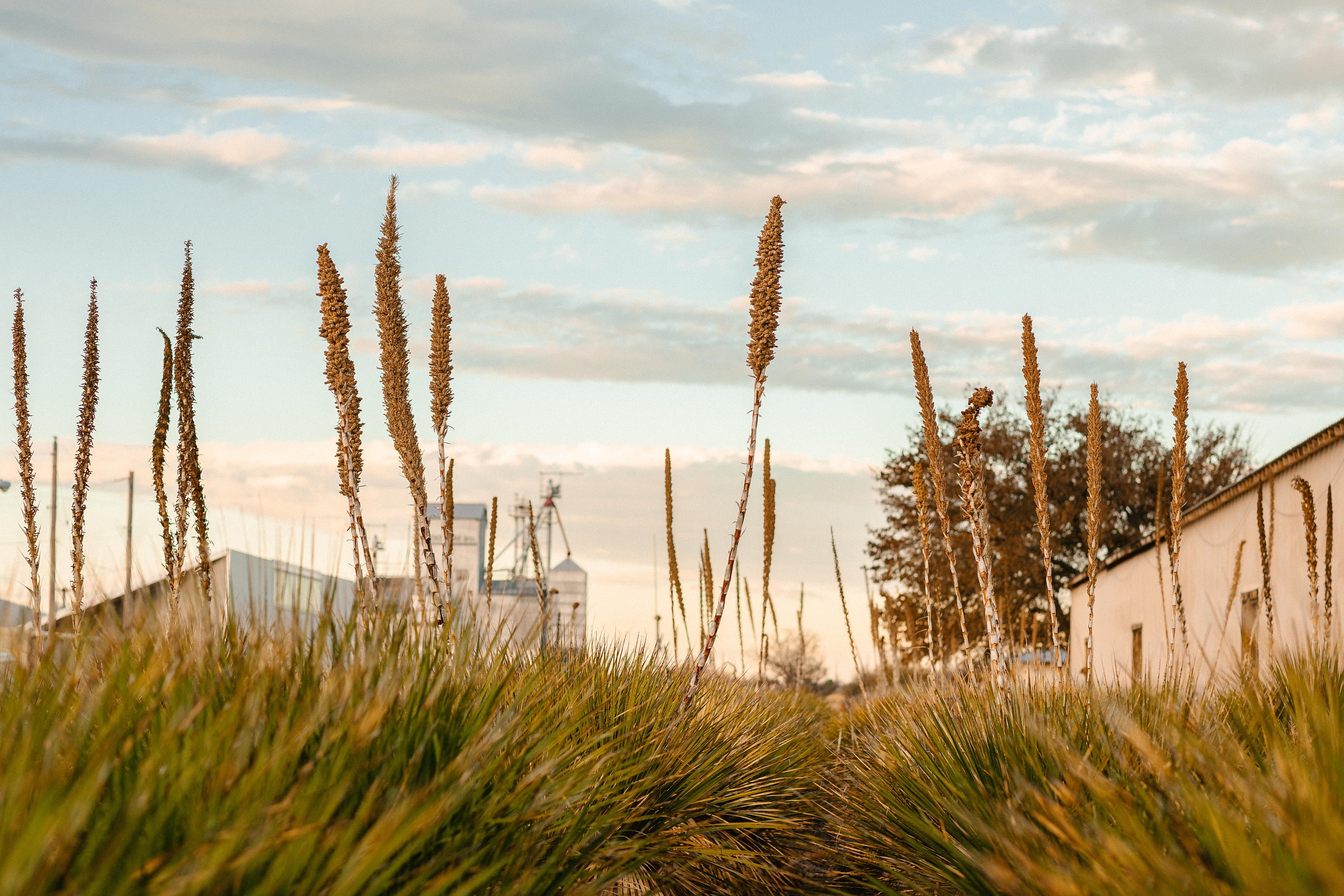Marfa Landscape at Sunrise | Sunrise in Marfa, Texas | Sunrise Sky in ...