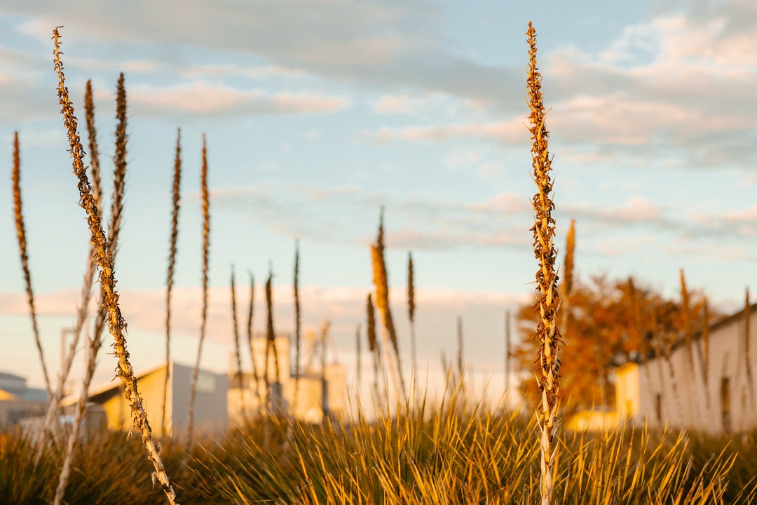 Marfa Landscape + Architecture at Sunrise | Sunrise in Marfa, TX ...
