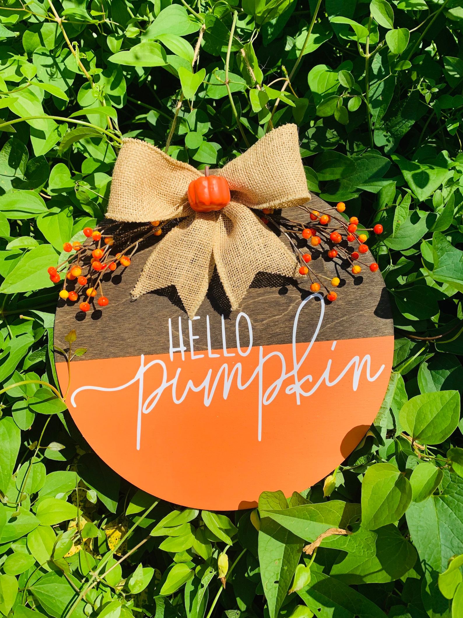 Hello Pumpkin 12 Round Wood Sign Hello Pumpkin Sign | Etsy