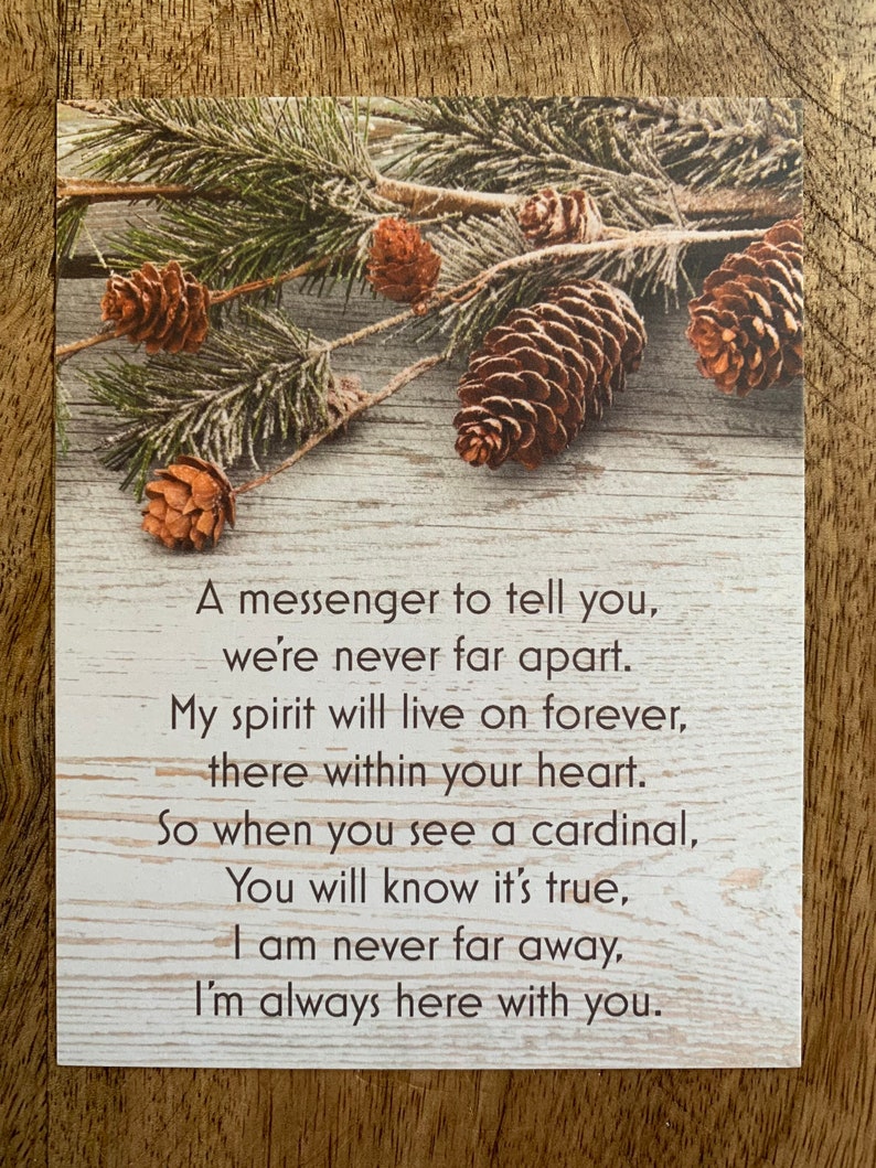 Cardinal Gift Ornament Loved One Lost Memorial Sympathy - Etsy