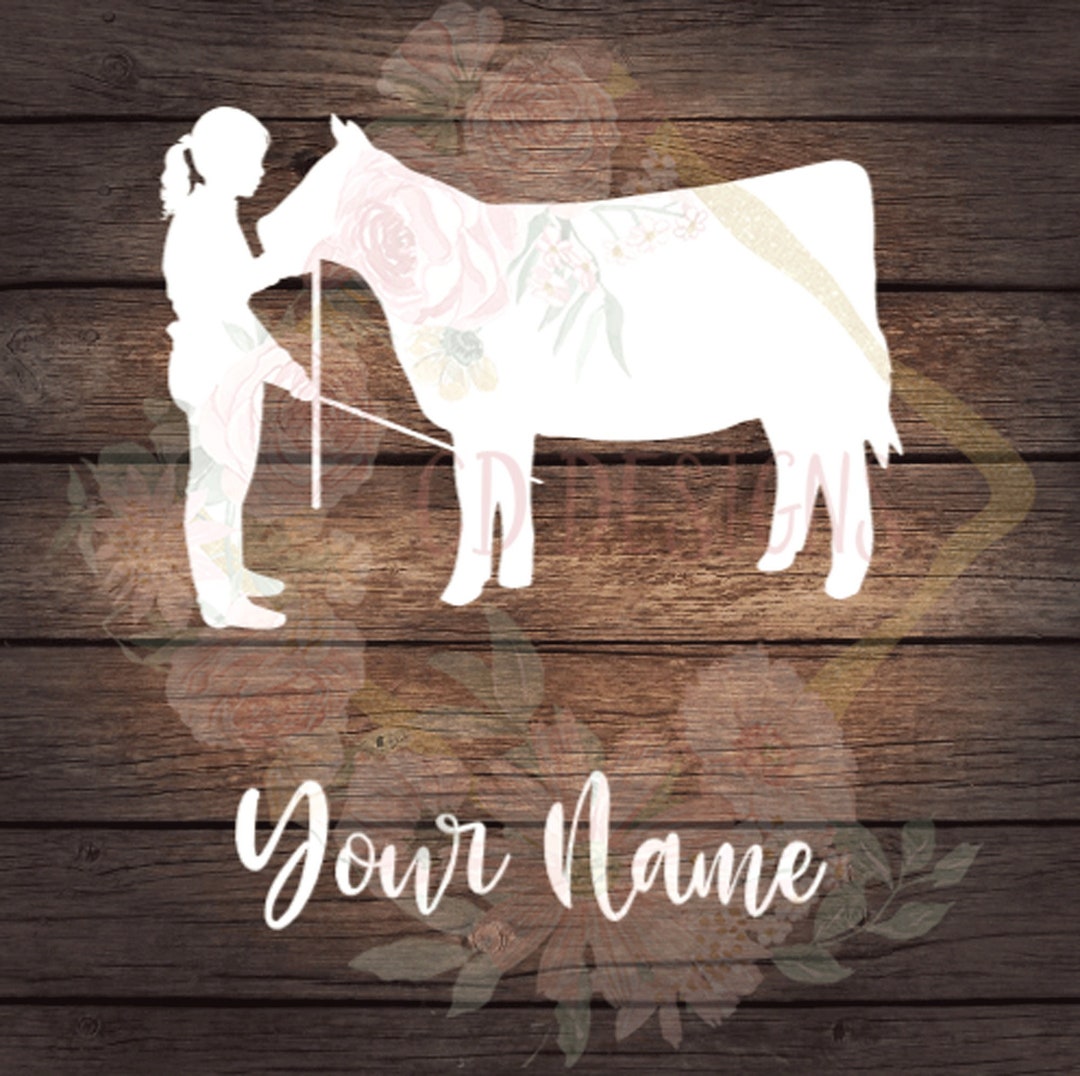 Show Heifer Girl Decal Heifer Show box Decal Vinyl Cow Car Decal ...