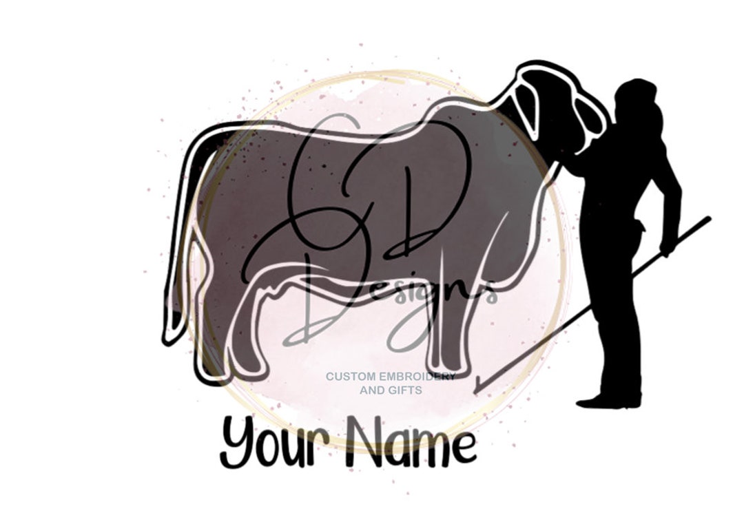 Show Brahma Girl Decal, Heifer Show Box Decal. Vinyl Cow Car Decal ...