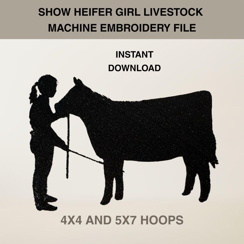 Show Heifer - Etsy