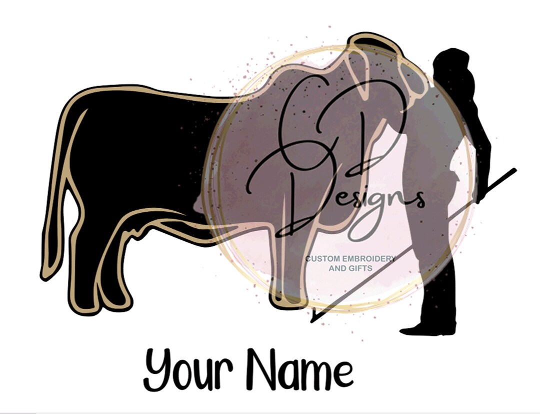 Show Brahma Girl Decal Heifer Show Box Decal. Vinyl Cow Car - Etsy