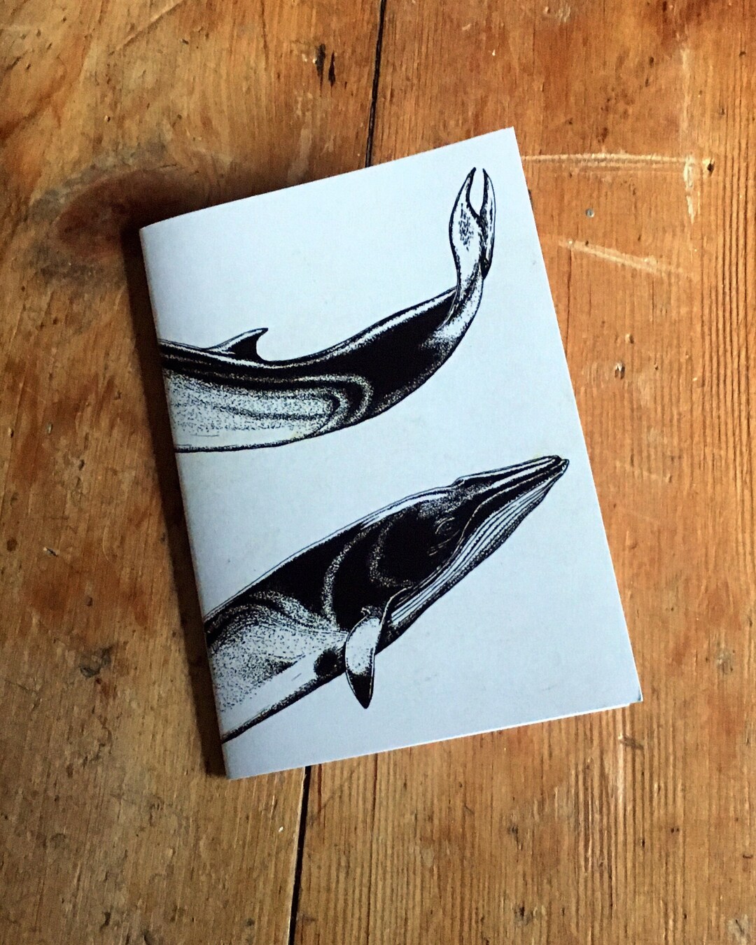 Minke Whale Pocket Notebook | Whale Notebook | Whale Gift | Recycled ...