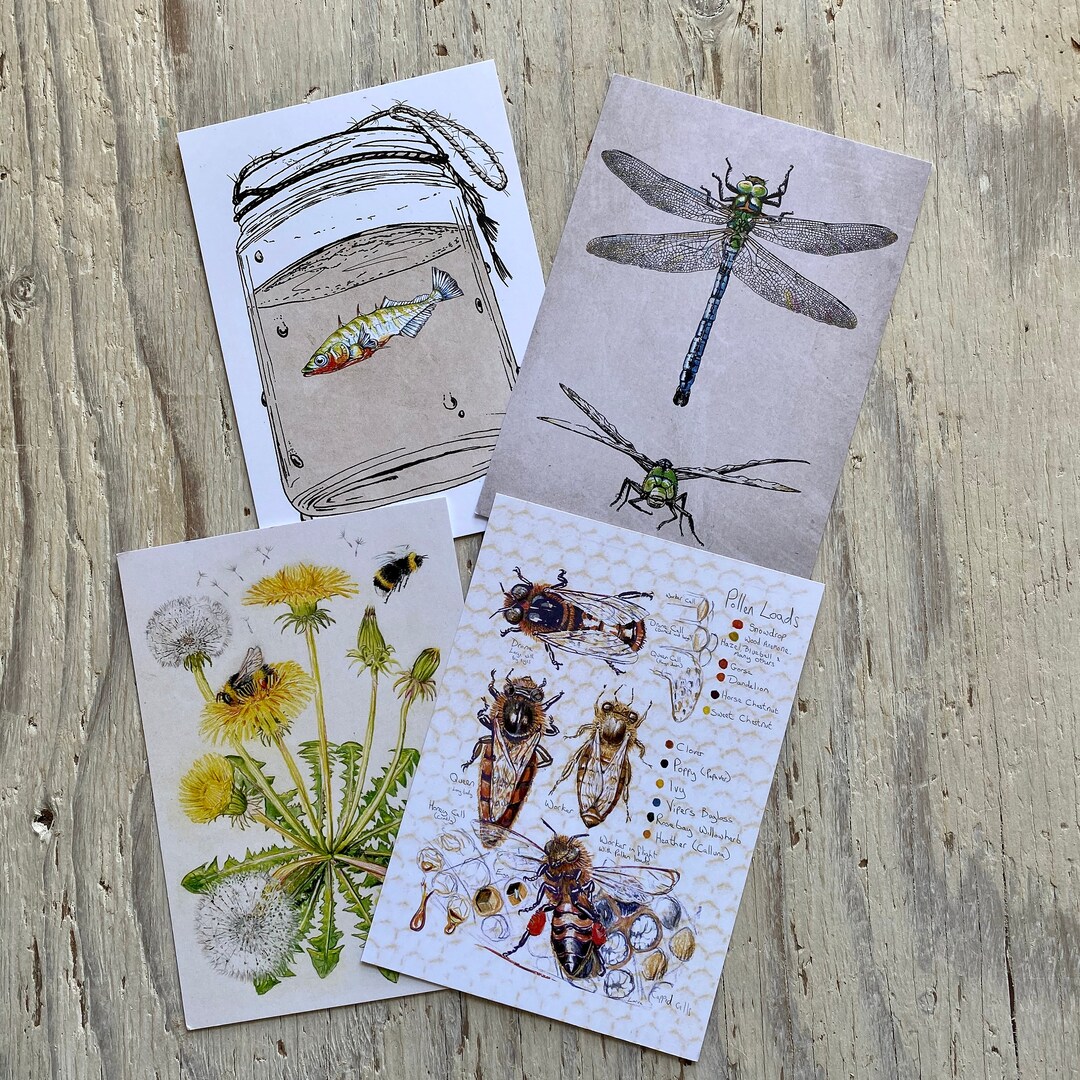 Wonderful Wildlife Postcards | Set of Four Recycled Postcards | Nature ...
