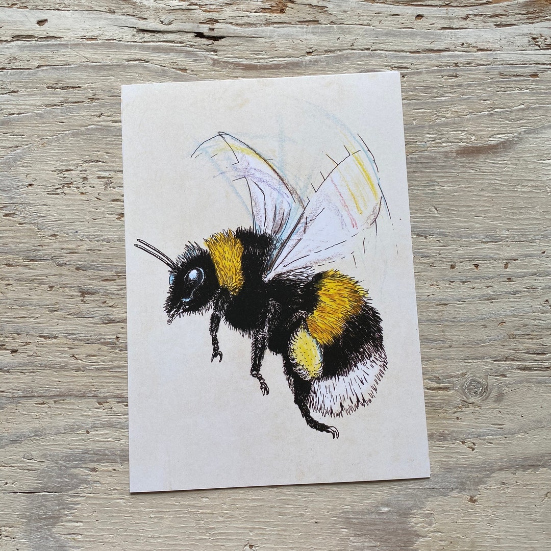 Bumblebee Art Print - Etsy