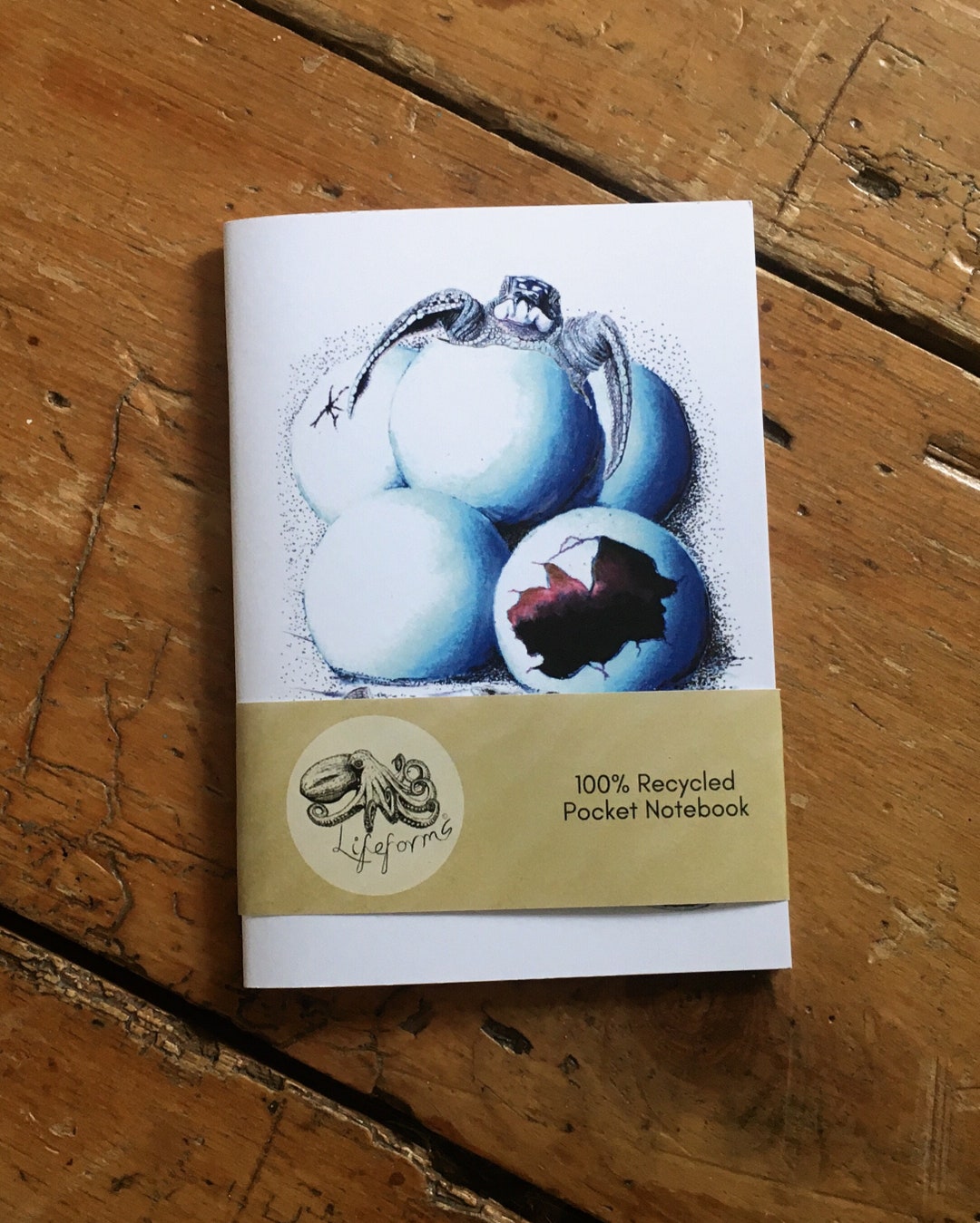 Baby Turtle Pocket Notebook | Recycled Pocket Notebook | Turtle ...