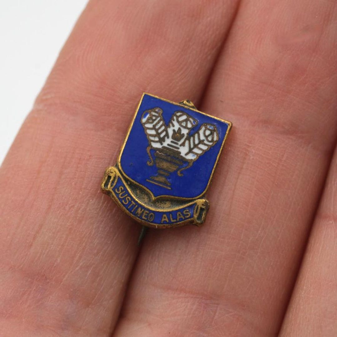Vintage Tiny "sustineo Alas" Military Pin .5" // Old Air Force Cluster ...