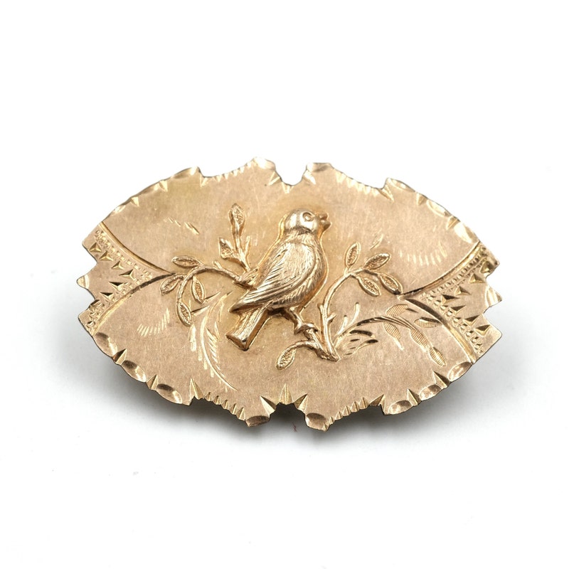 Victorian Brooch - Etsy