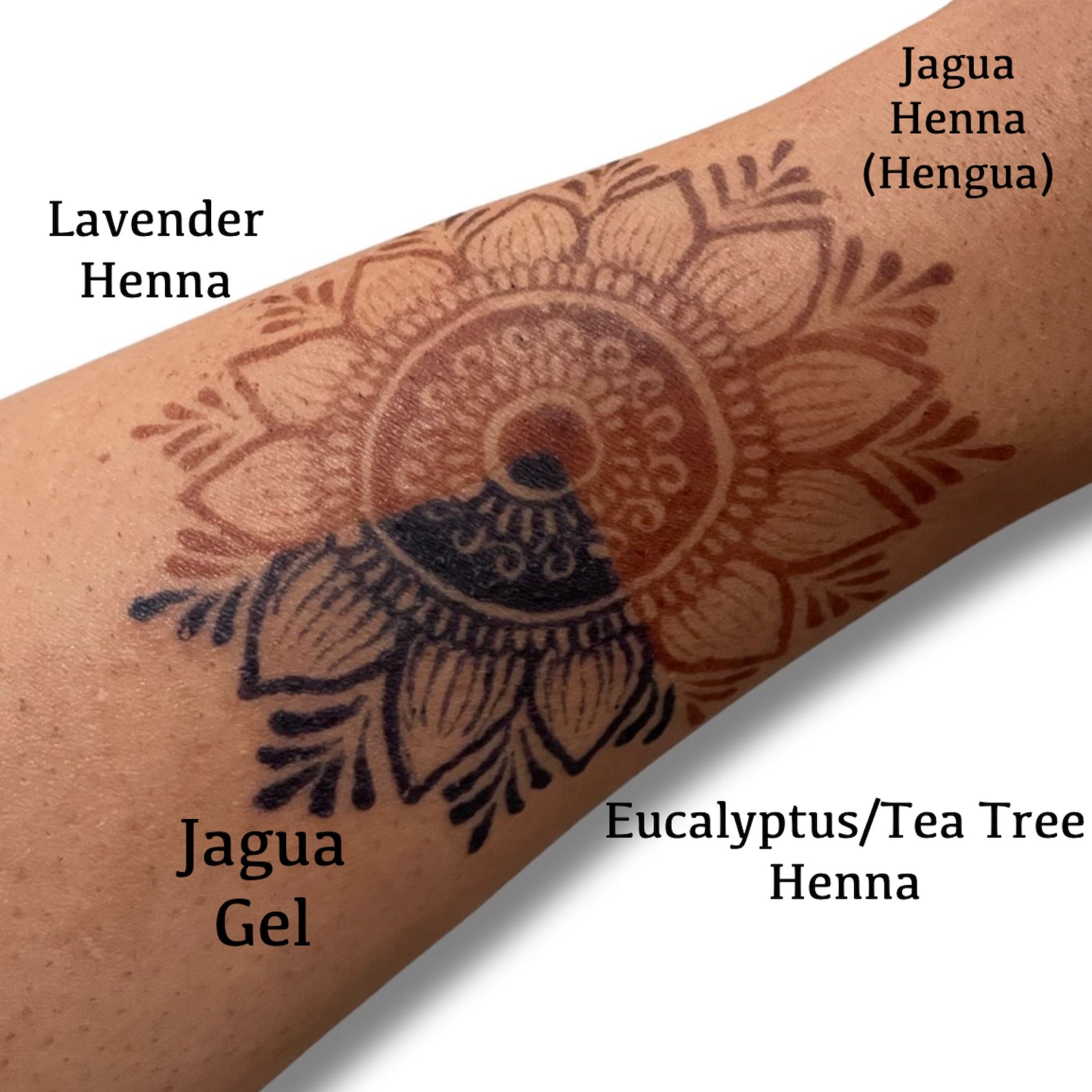 Organic Henna Cone Variety Pack: Jagua, Hengua, Eucalyptus, Lavender ...