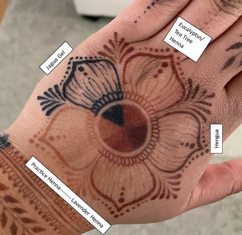 Organic Henna Cone Variety Pack: Jagua, Hengua, Eucalyptus, Lavender ...