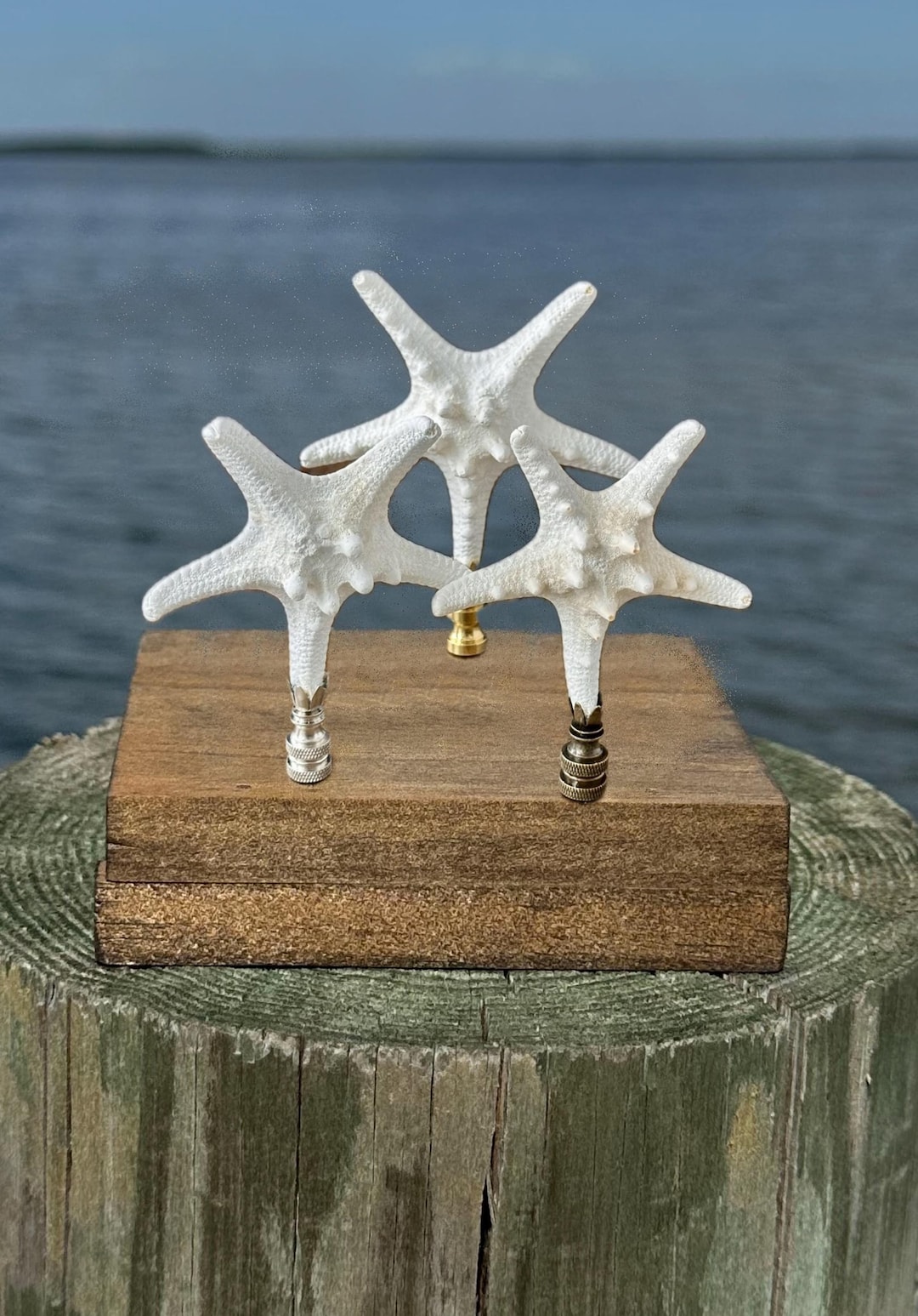 Starfish Lamp Finial - Elegant White Natural Starfish - Etsy