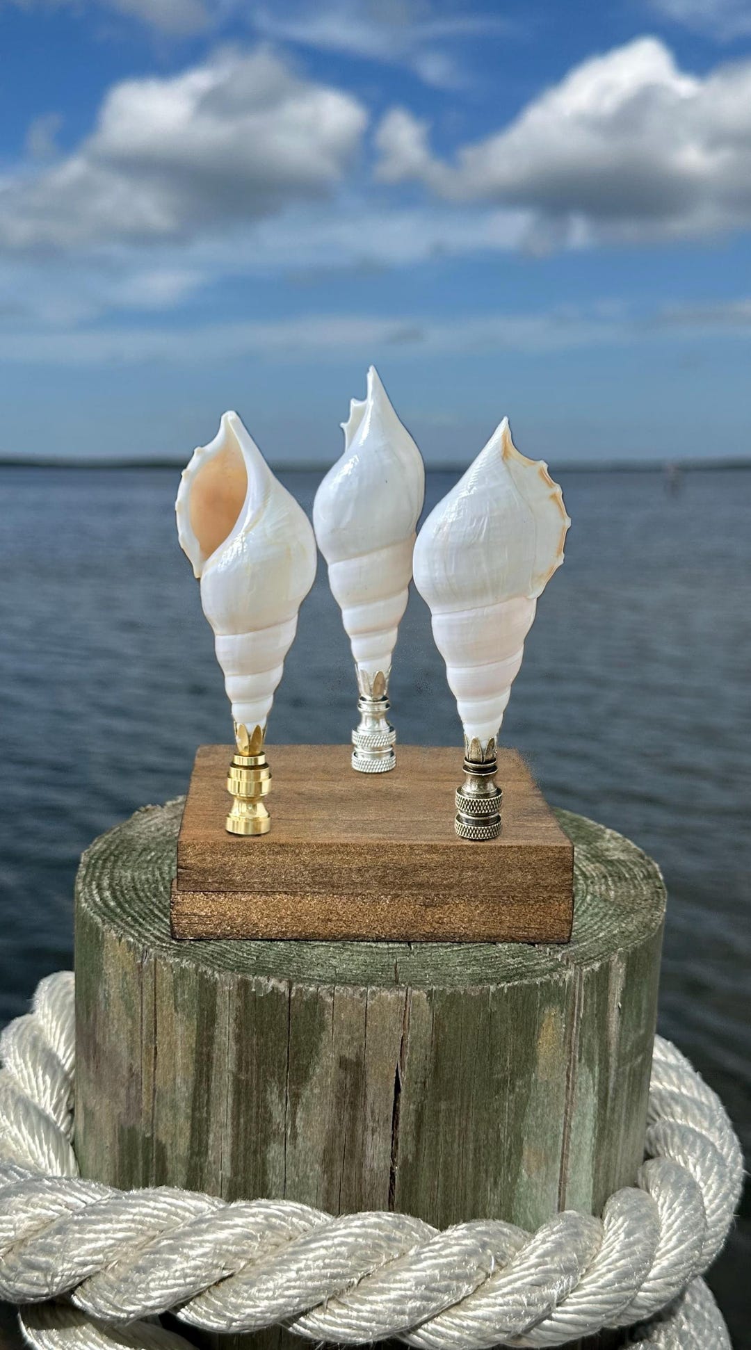 White Conch Seashell Lamp Finial - Tropical Elegant Natural Sea Shell ...