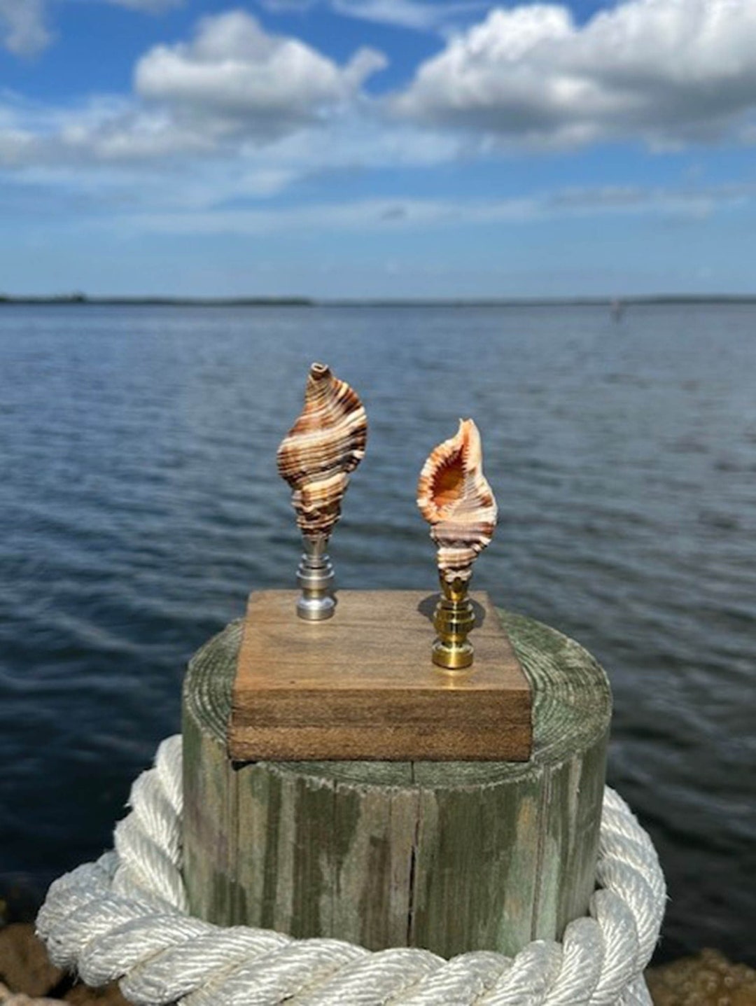 Seashell Lamp Finial - Striped Tan Spiral Shell - Etsy