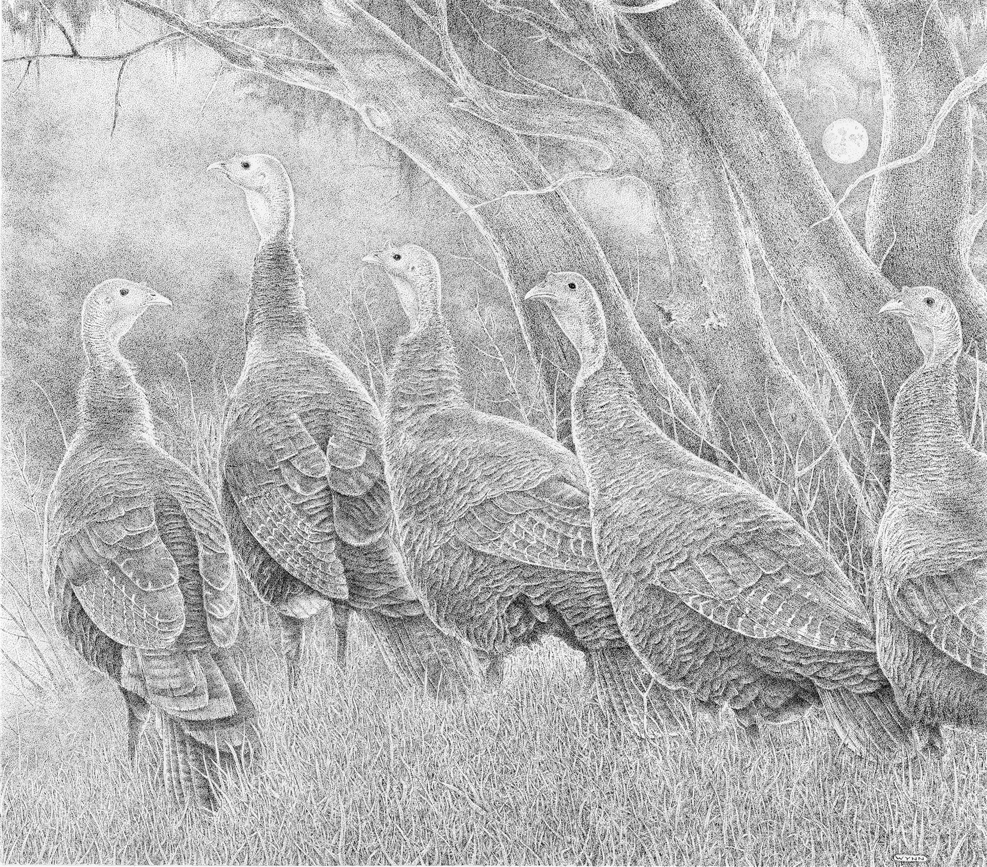 Turkeys ~ Ladies of the Woods Fine Art Stipple Print - Etsy