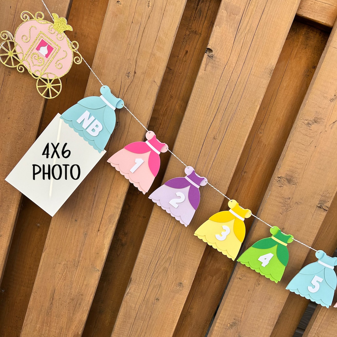 Princess Milestone Photo Banner | Princess First Birthday Party ...