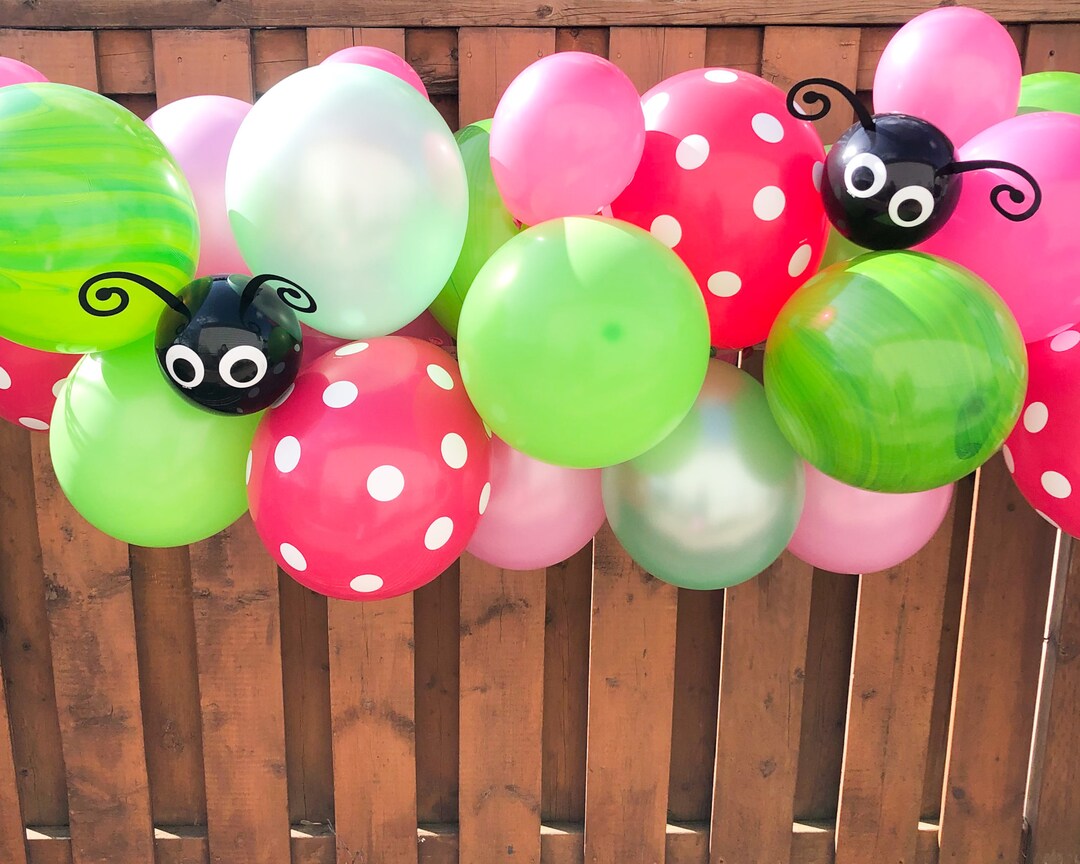 Watermelon Ant Balloon Garland One in a Melon Birthday Party - Etsy