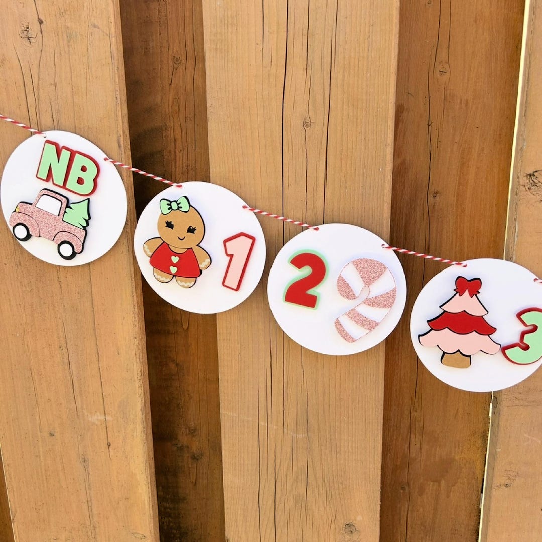 Pink Christmas Milestone Photo Banner | Winter Onederland First ...