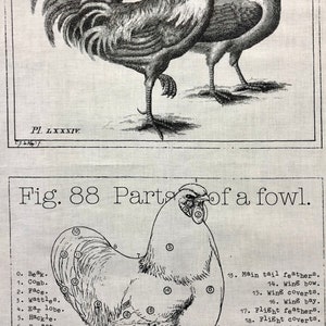 Fowl Play Panel by QT - Etsy