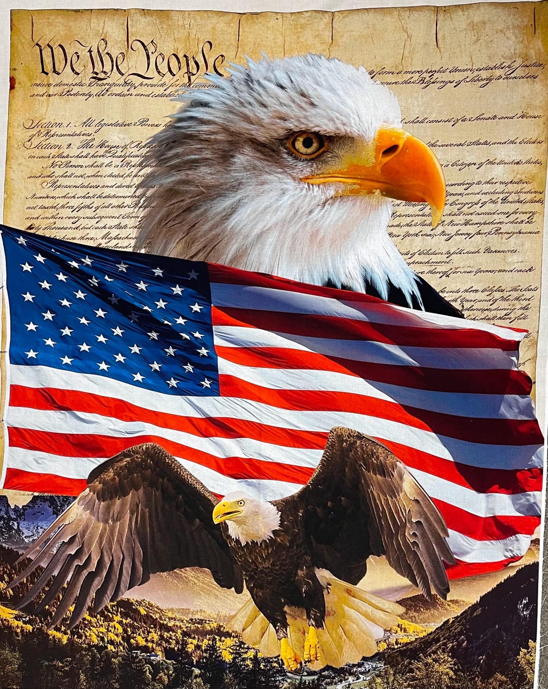 Eagle and Constitution Panel by David Textiles - Etsy