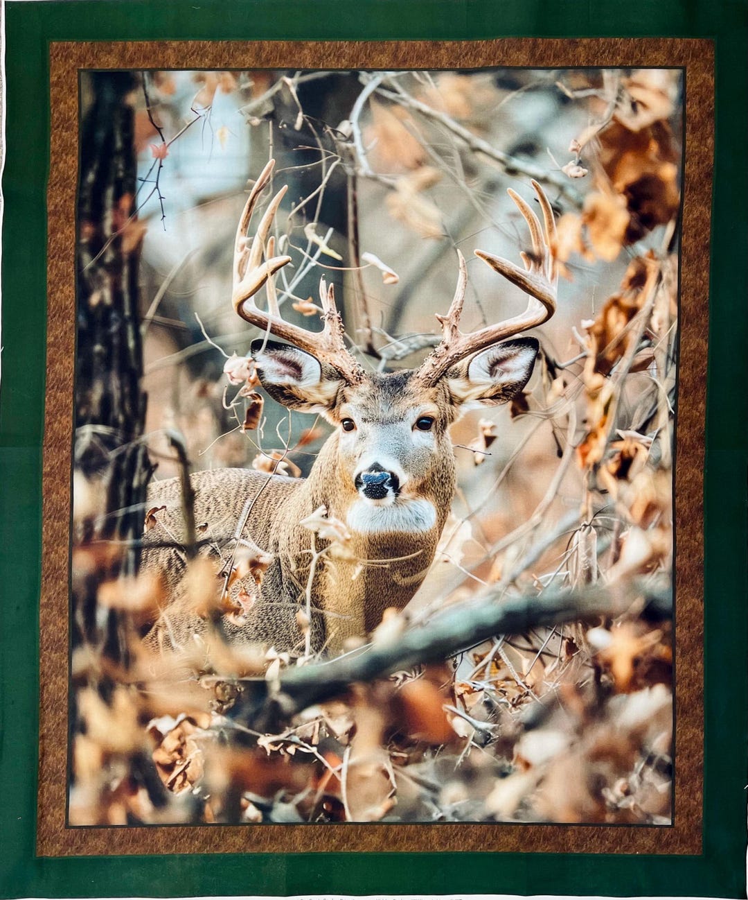 Hidden Buck by MDG - Etsy