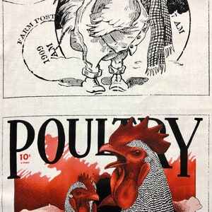 Fowl Play Panel by QT - Etsy