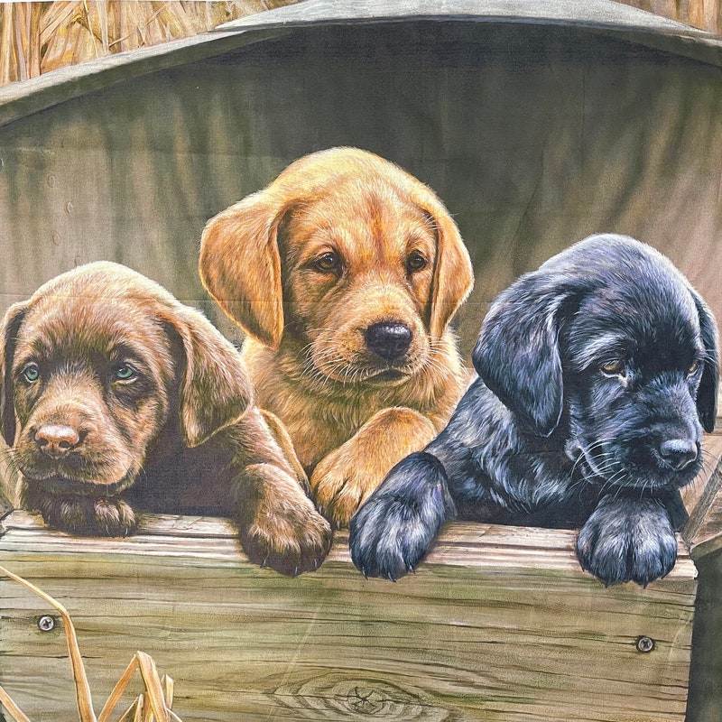 Lab Quilt Panel - Etsy