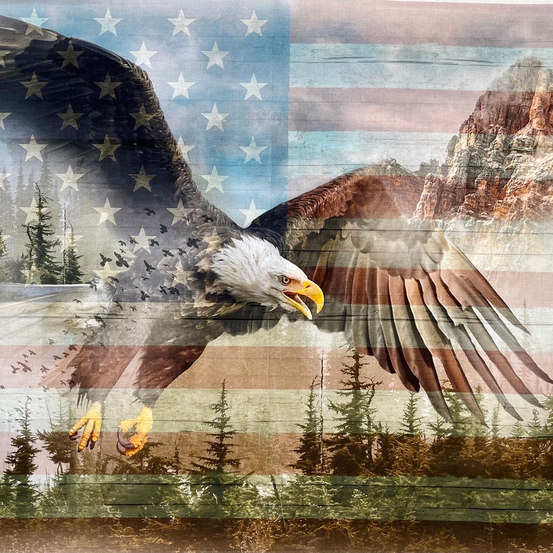 Eagle Quilt Pattern - Etsy