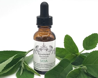 Gravel Root Tincture // Extract // Organic 1 Oz. eupatorium - Etsy