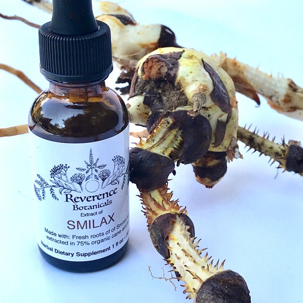 Smilax - Etsy