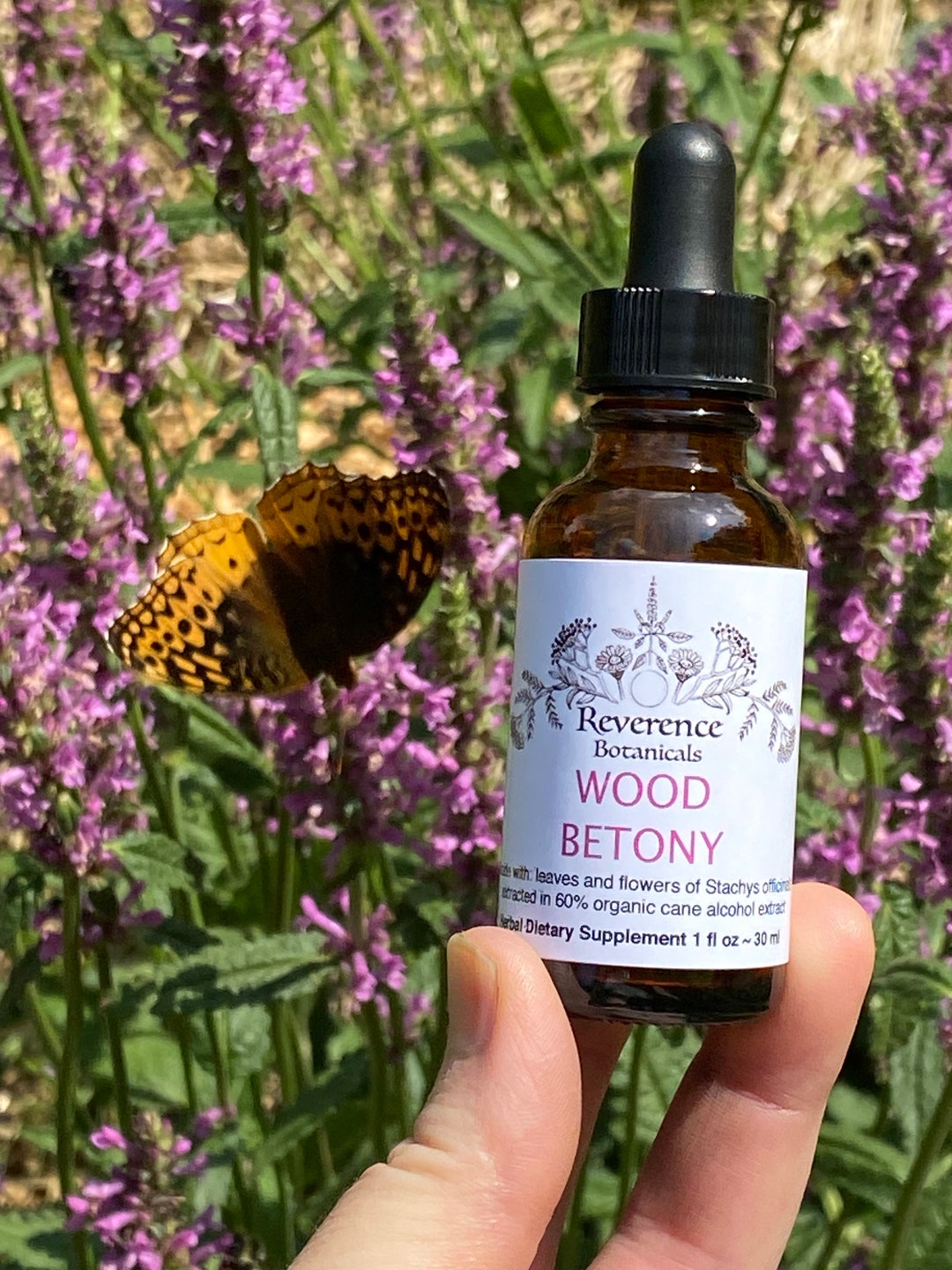 Wood Betony Tincture, Wood Betony Extract, Fresh Stachys Officinalis - Etsy