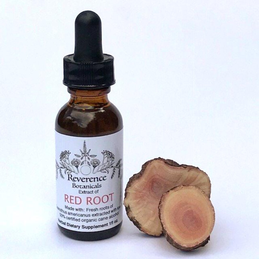 Red Root Tincture, Fresh Red Root Tincture, Fresh Ceanothus Americanus ...