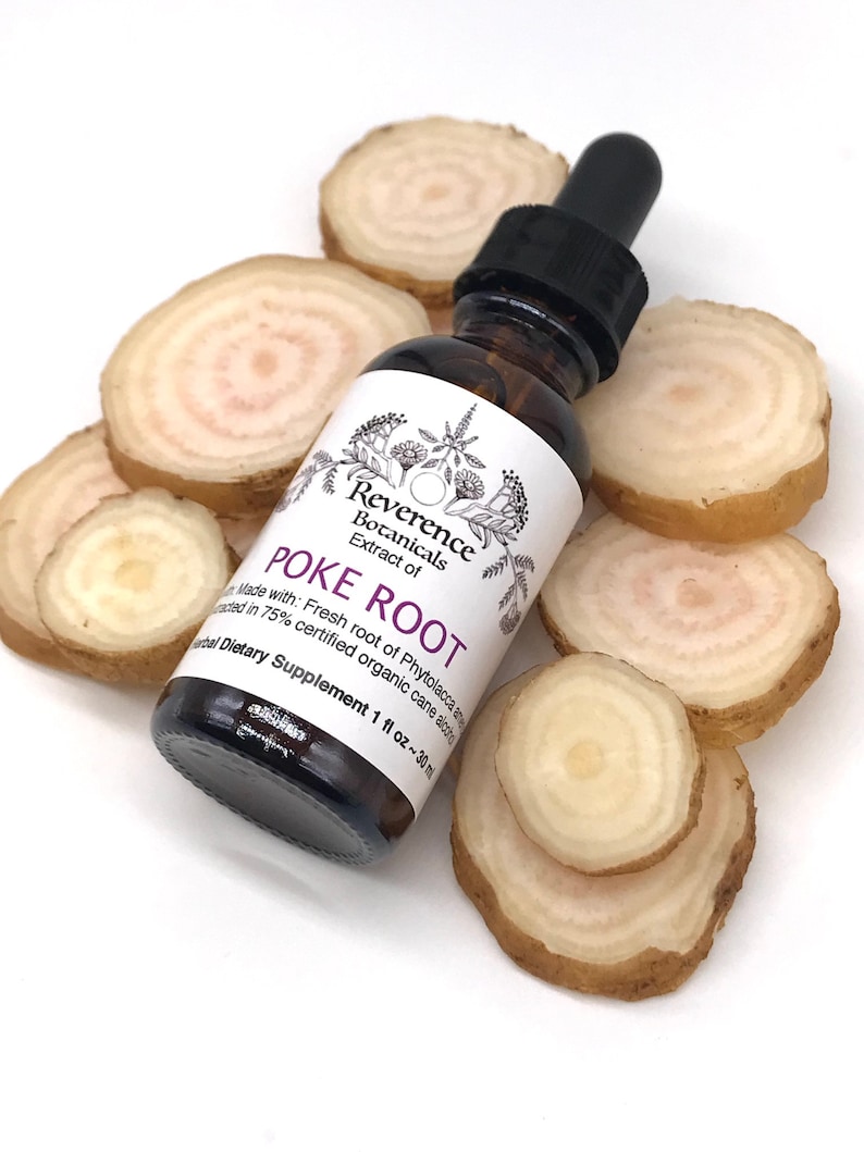 Poke Root Tincture Fresh Poke Root Extract Lymph Cleanser - Etsy Australia
