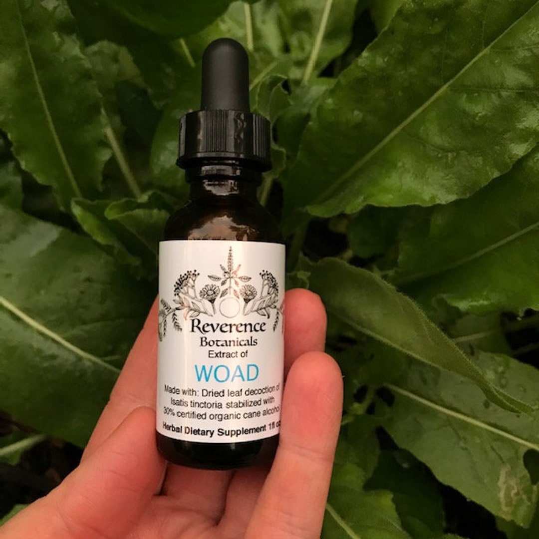 Woad Leaf Tincture, Woad Leaf Extract, Da Qing Ye, Chinese Herb, Isatis Tinctoria - Etsy