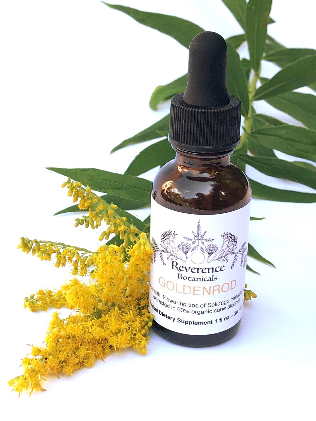 Goldenrod Extract, Goldenrod Tincture, Solidago Canadensis - Etsy