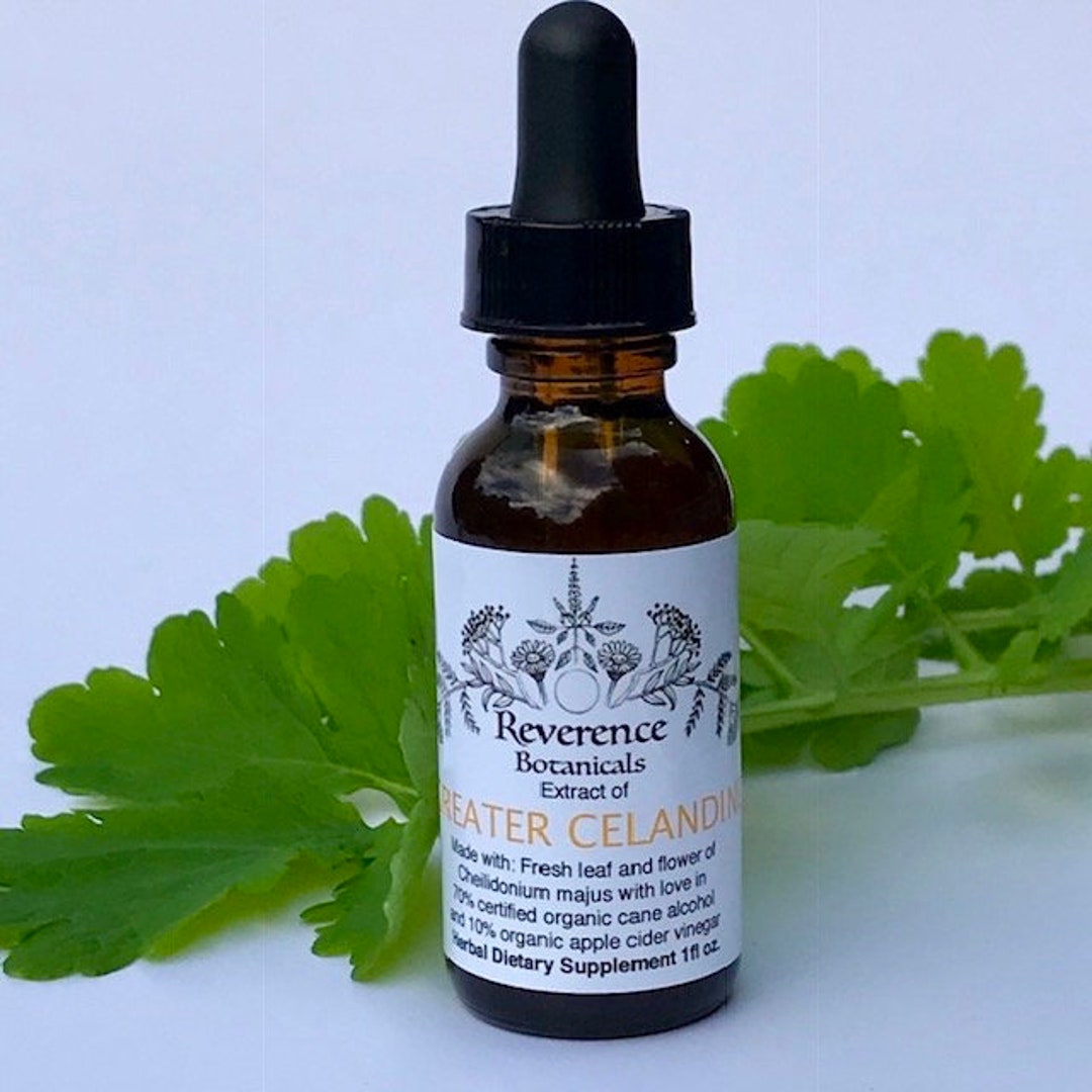 Greater Celandine Tincture, Fresh Greater Celandine Extract ...