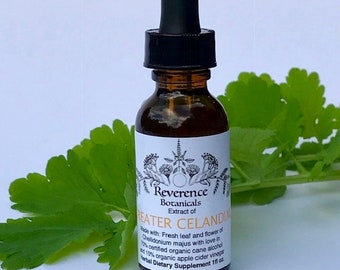 Tincture CELANDINE chelidonium Majus - Etsy