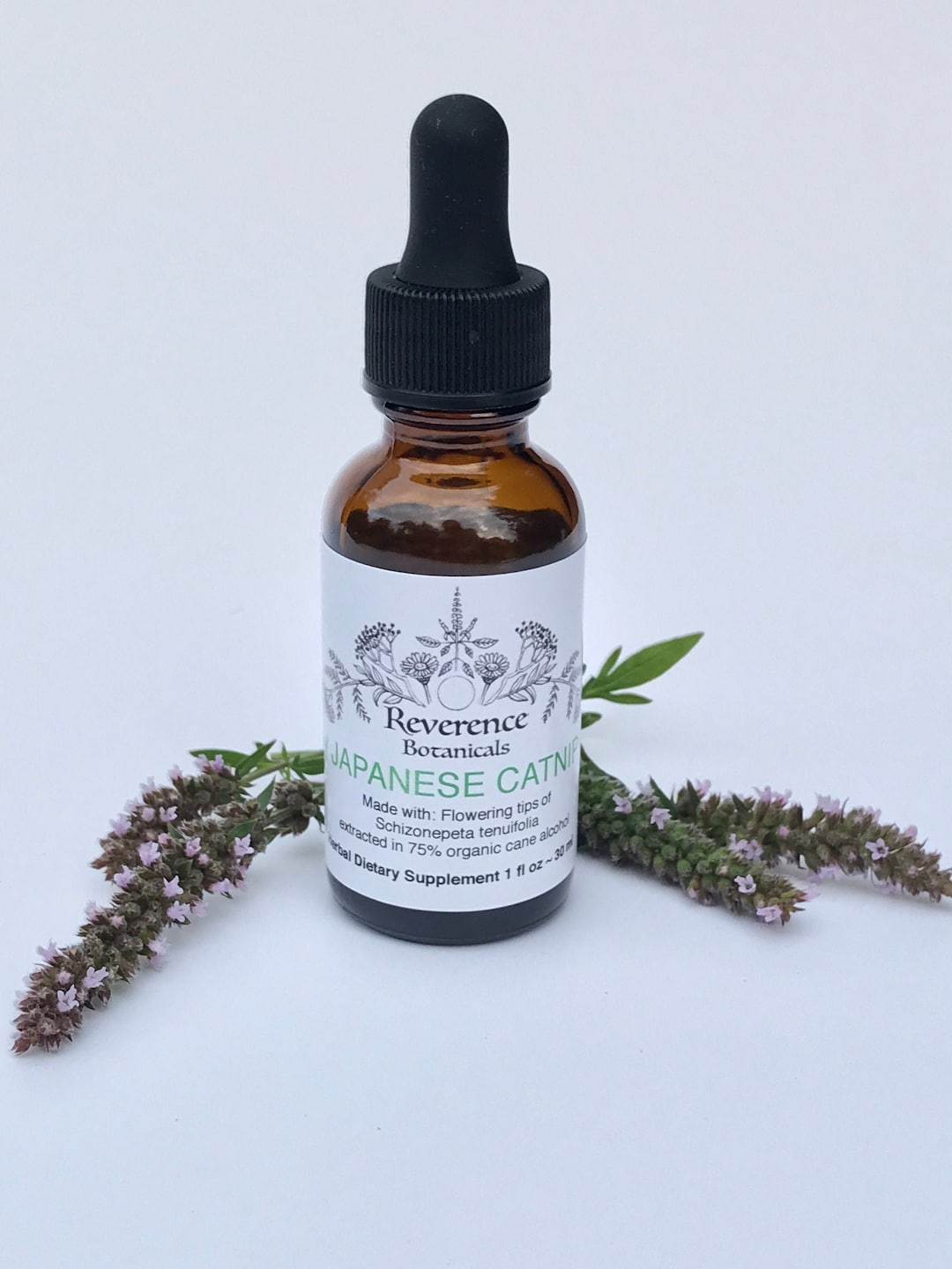Japanese Catnip Extract Schizonepeta Tenuifolia Tincture - Etsy