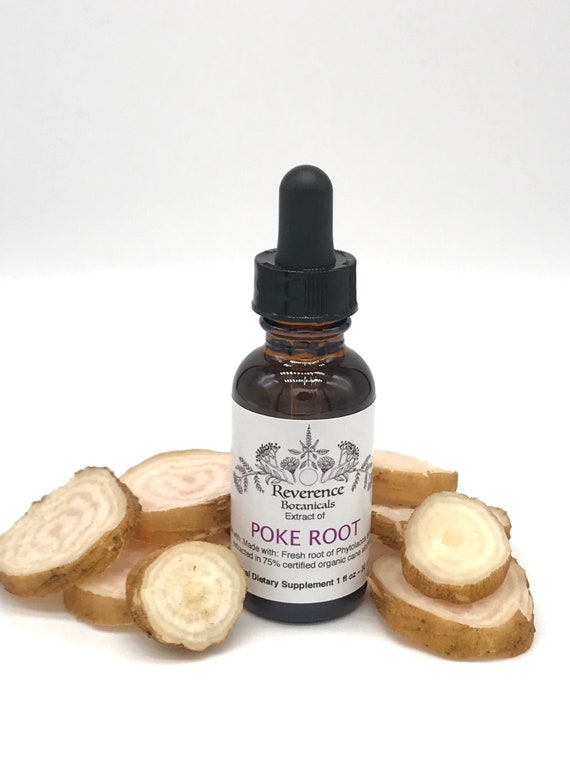 Poke Root Tincture Fresh Poke Root Extract Lymph Cleanser - Etsy