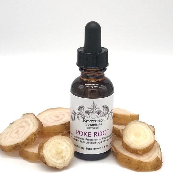 Poke Root - Etsy