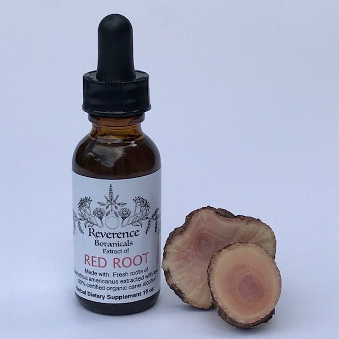 Red Root Tincture, Fresh Red Root Tincture, Fresh Ceanothus Americanus ...