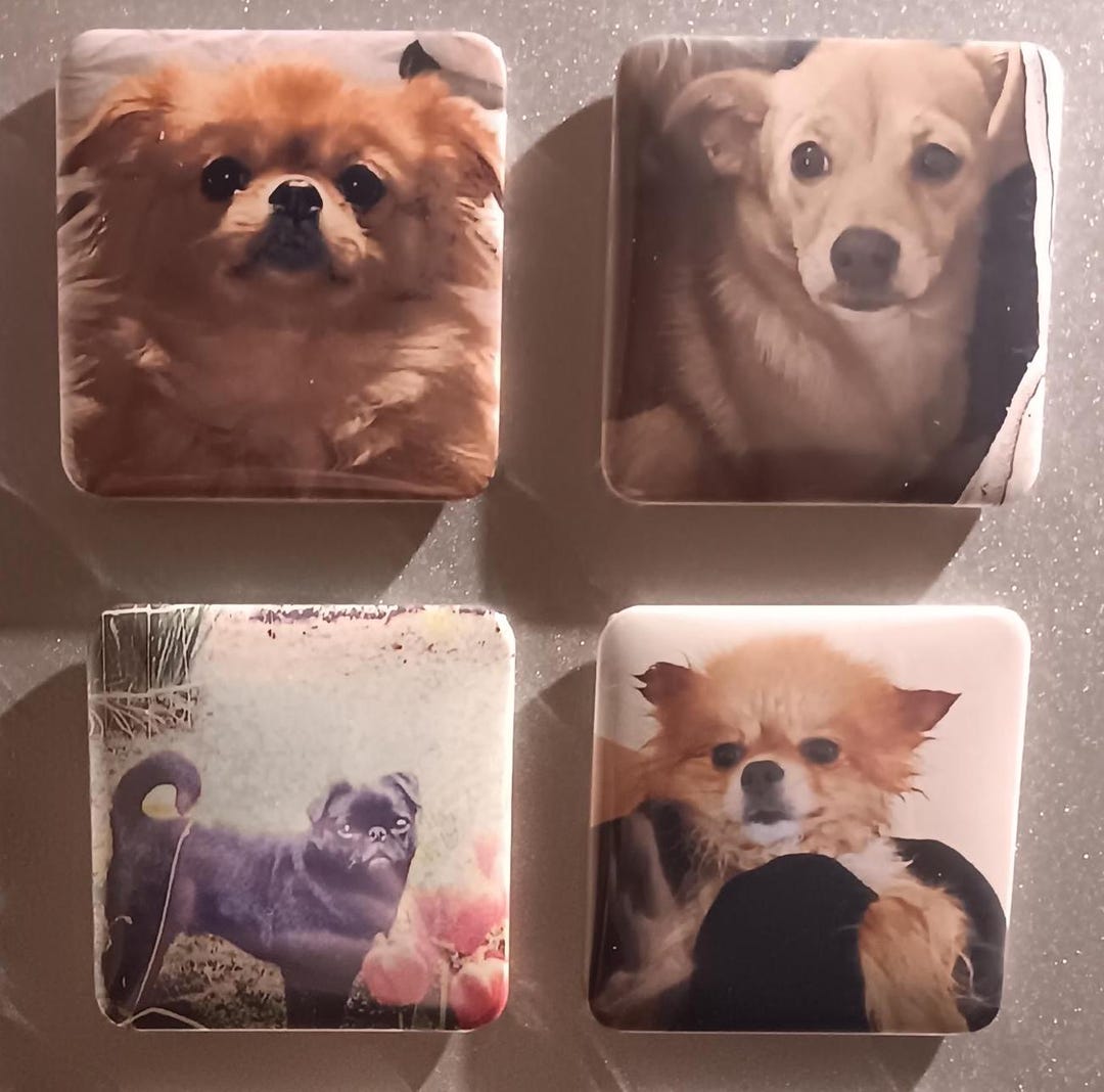 Personalized 2"x2" Photo Magnets – Set of 9 | Custom Fridge Magnets ...